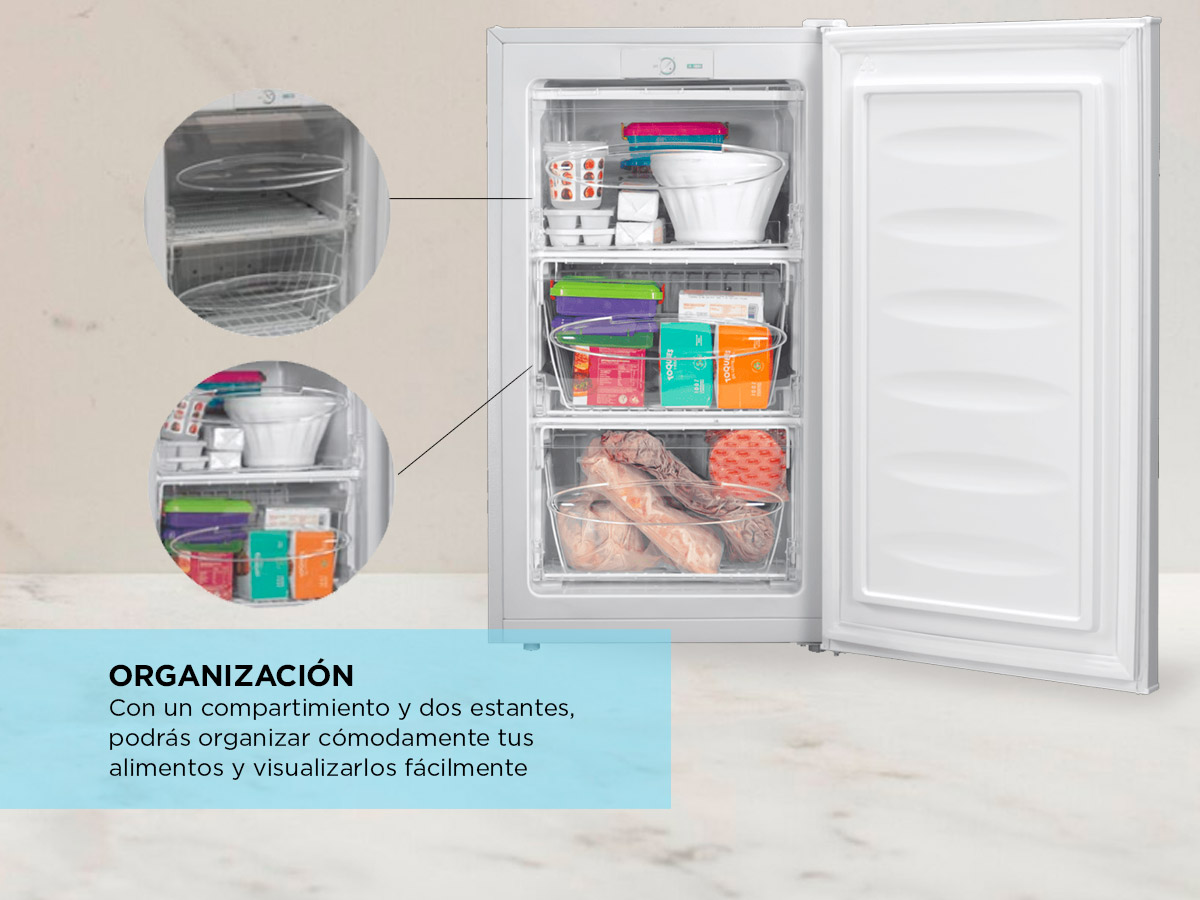Freezer Vertical Moretti Nordic 80 | Bidcom
