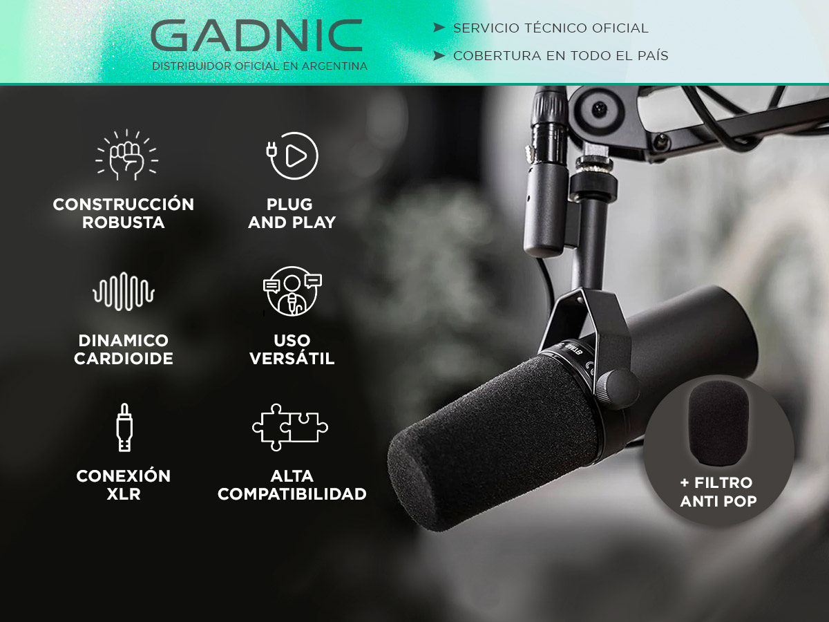 Micrófono Dinámico Gadnic Cardioide De Estudio | Gadnic