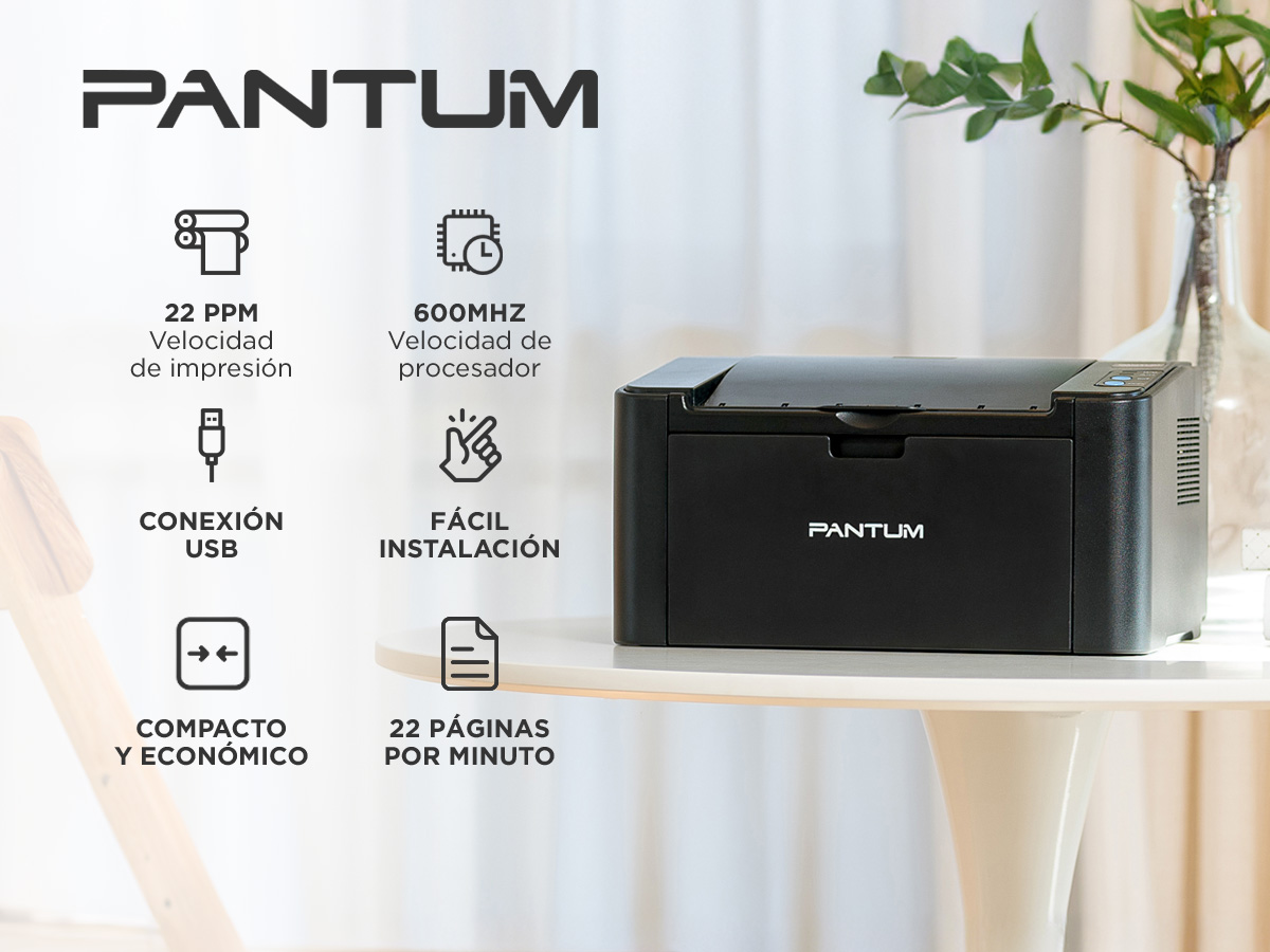 Impresora Laser Pantum P2500 Monocromática Usado | Bidcom